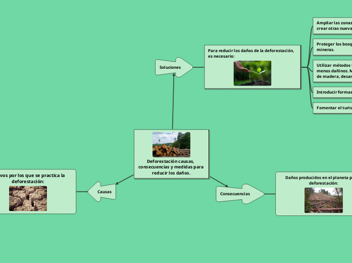Deforestación Causas Consecuencias Y Medi Mind Map
